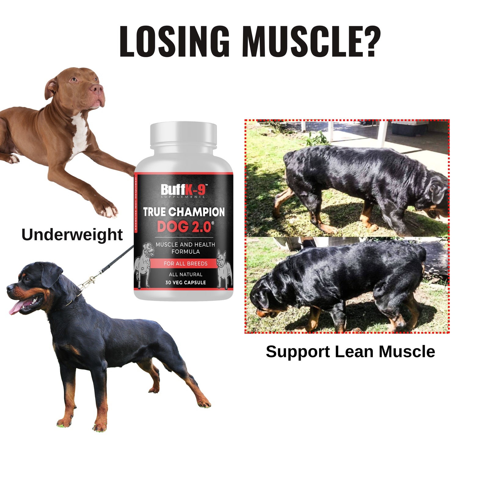 BuffK-9 Dog Vitamin Supplements for Muscle & Health