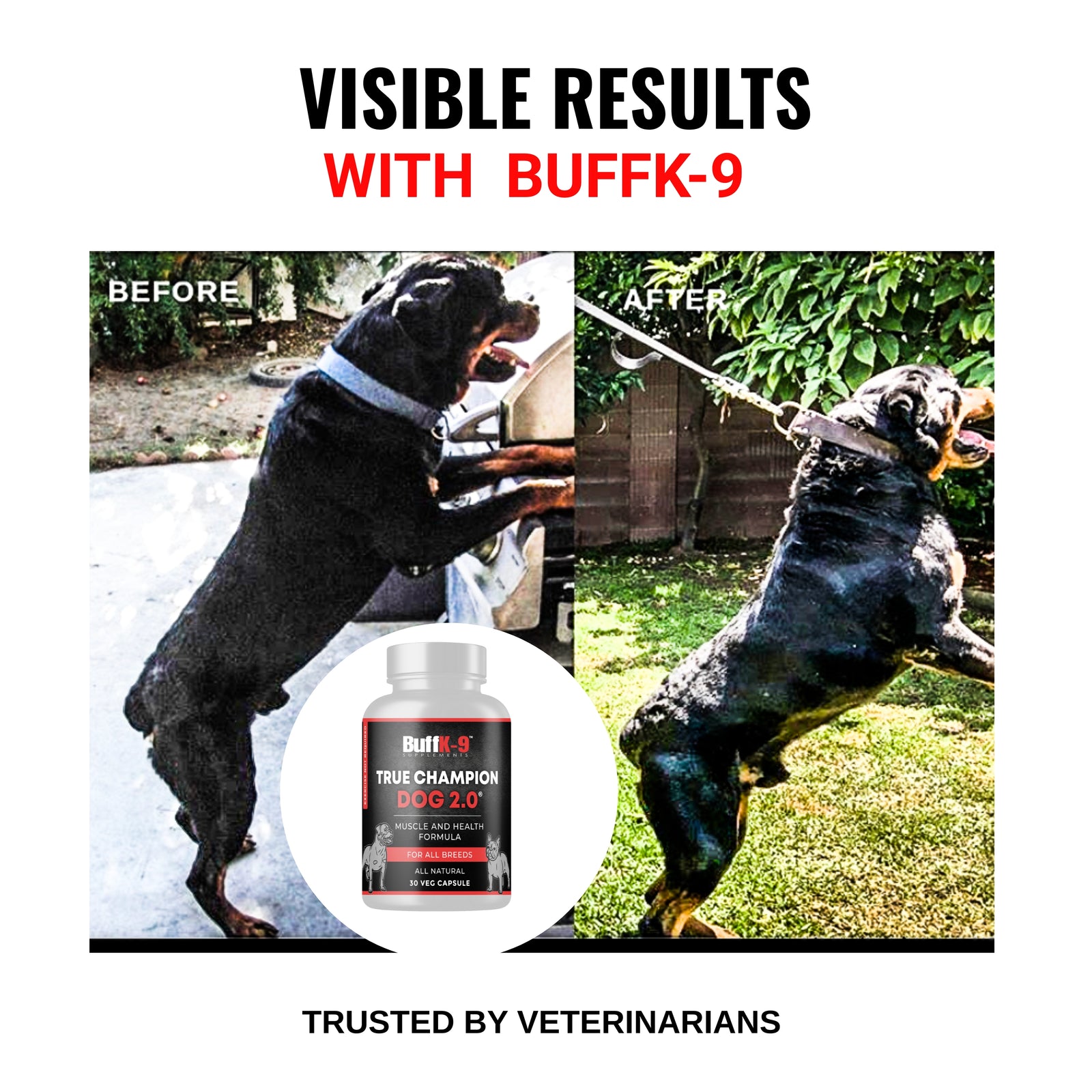 BuffK-9 Dog Vitamin Supplements for Muscle & Health