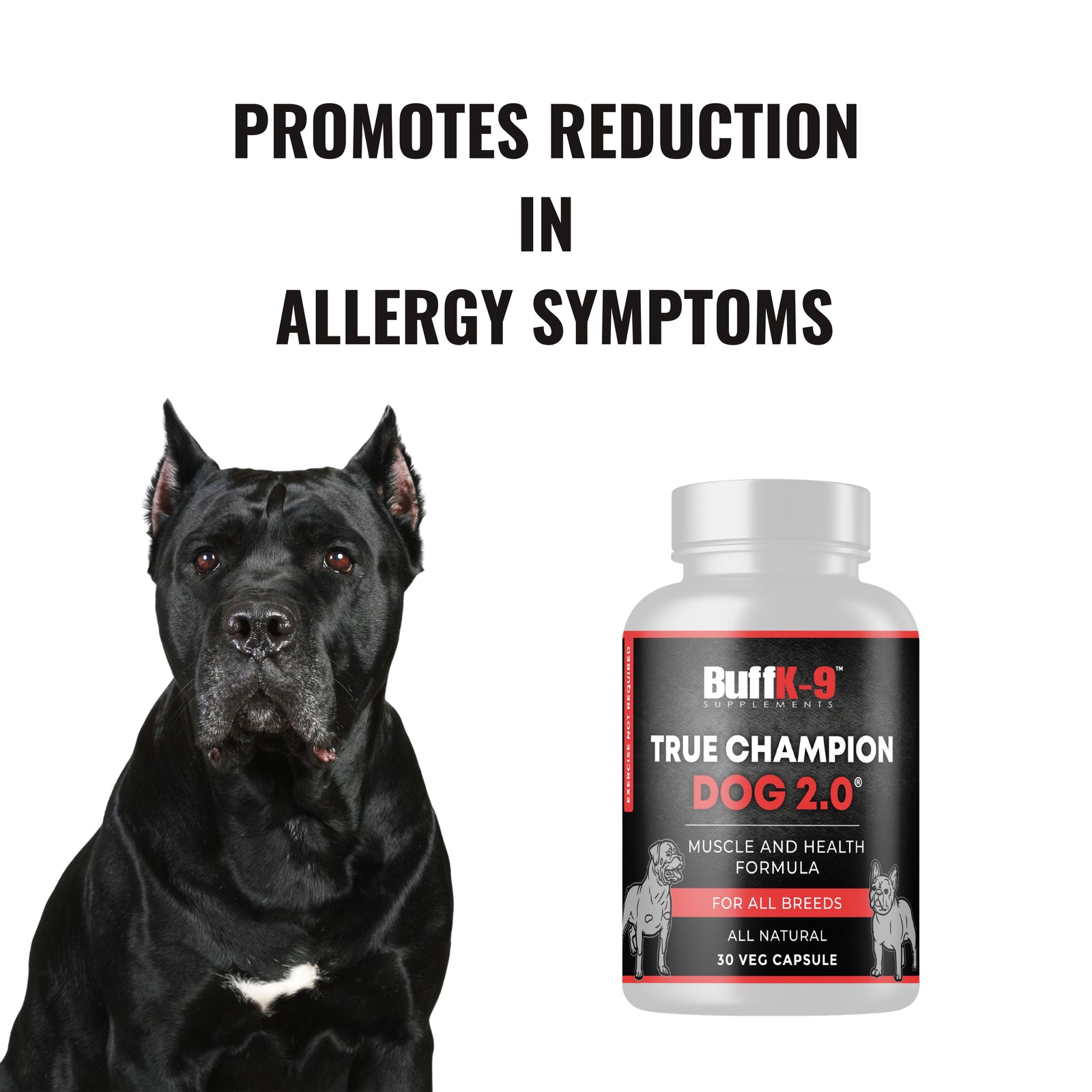 BuffK-9 Dog Vitamin Supplements for Muscle & Health