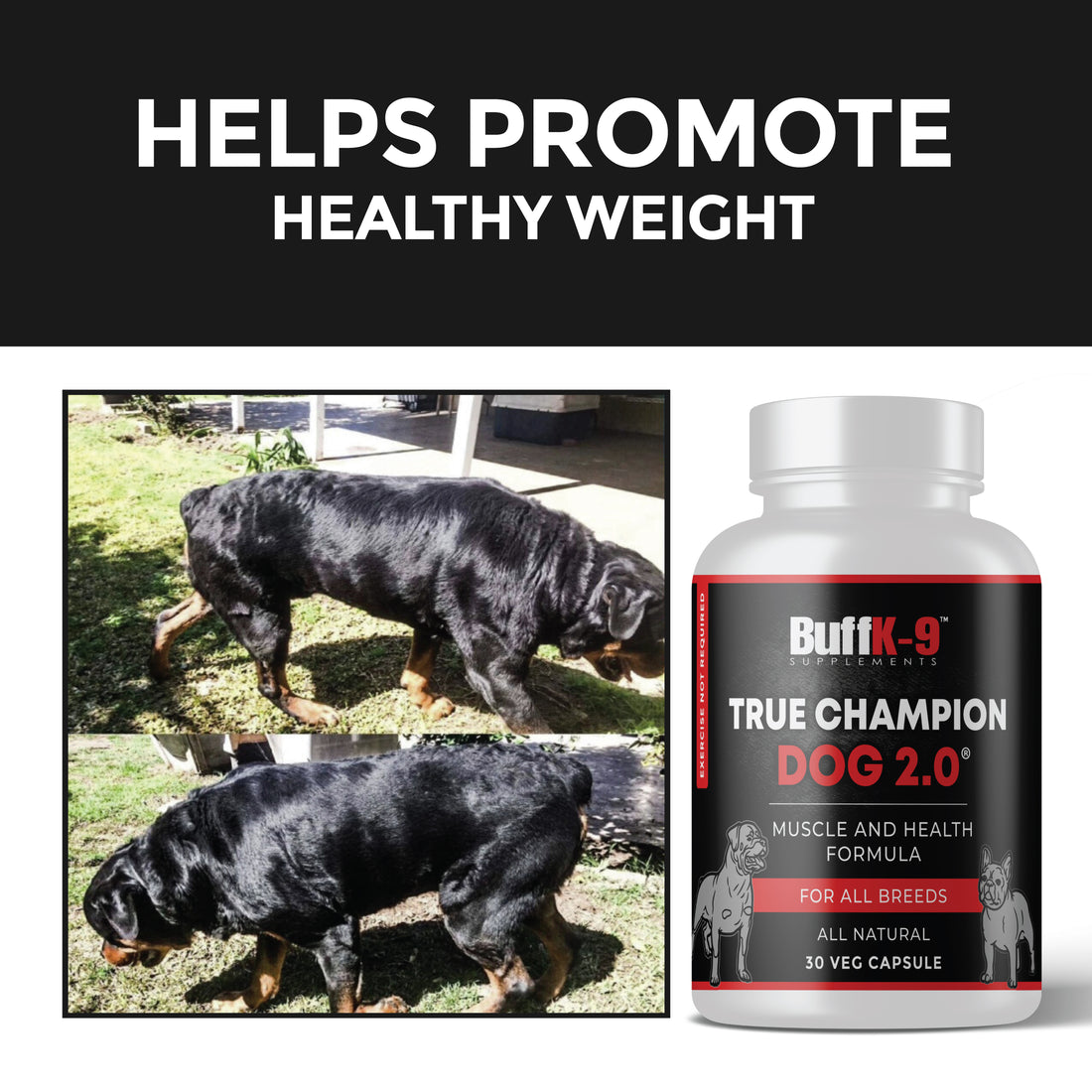 BuffK-9 Dog Vitamin Supplements for Muscle & Health