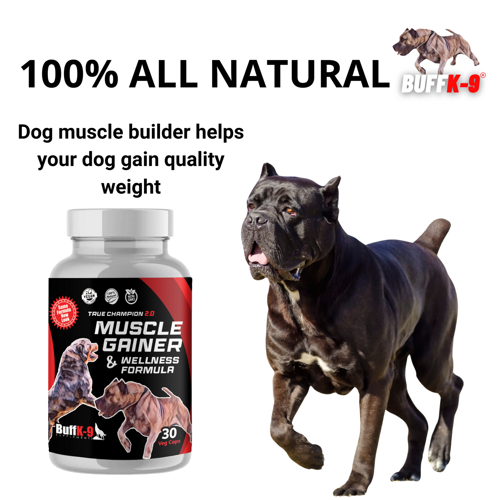 BuffK-9 Dog Vitamin Supplements for Muscle & Health